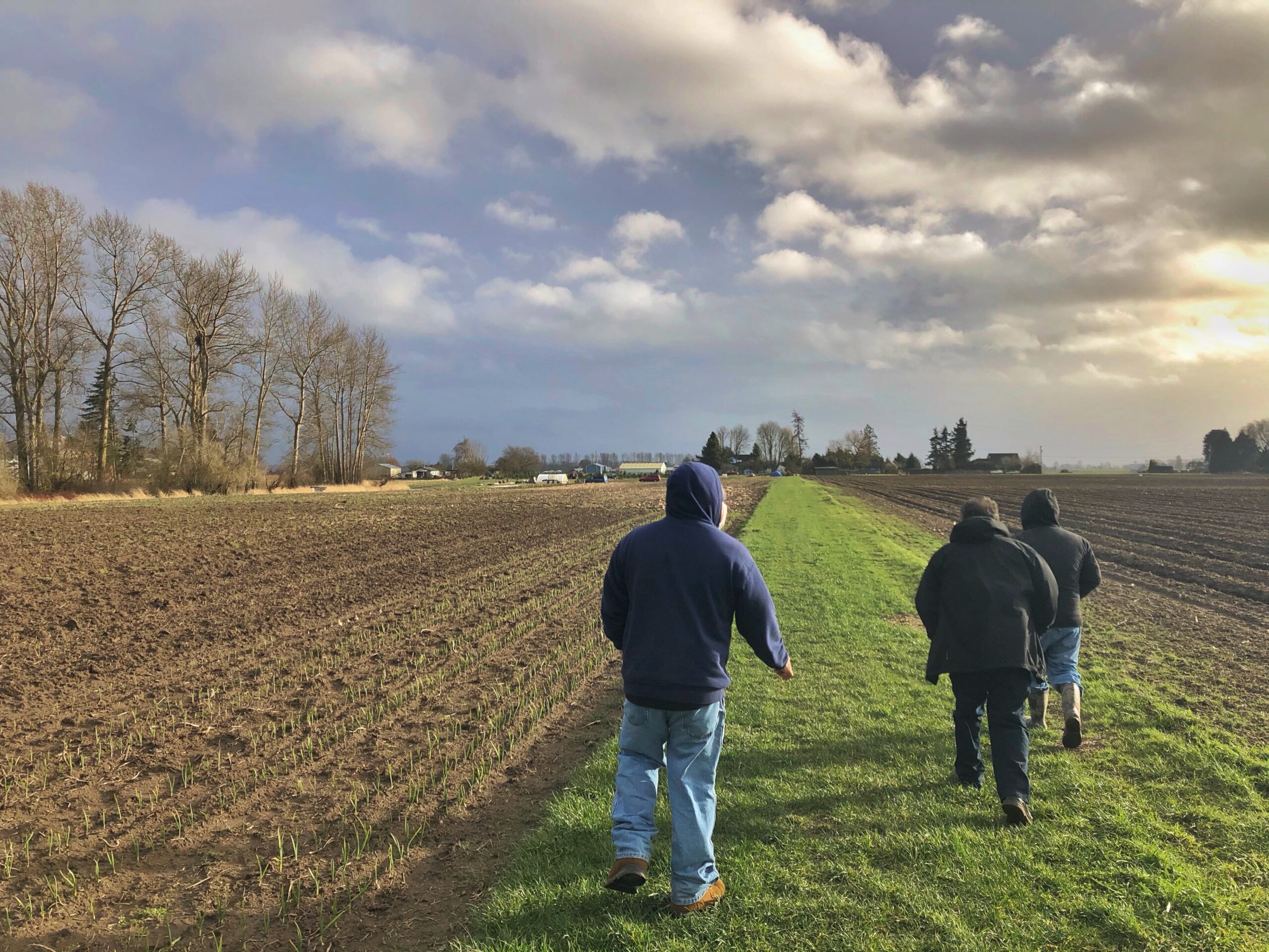 Accepting The Challenge To End Hunger - Feeding Washington